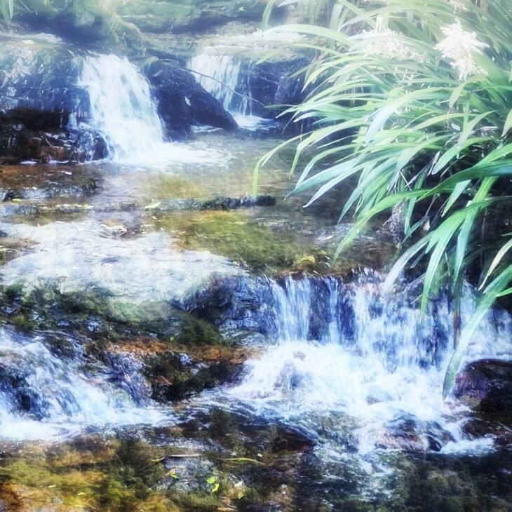Waterfall Wonder – David Cuschieri